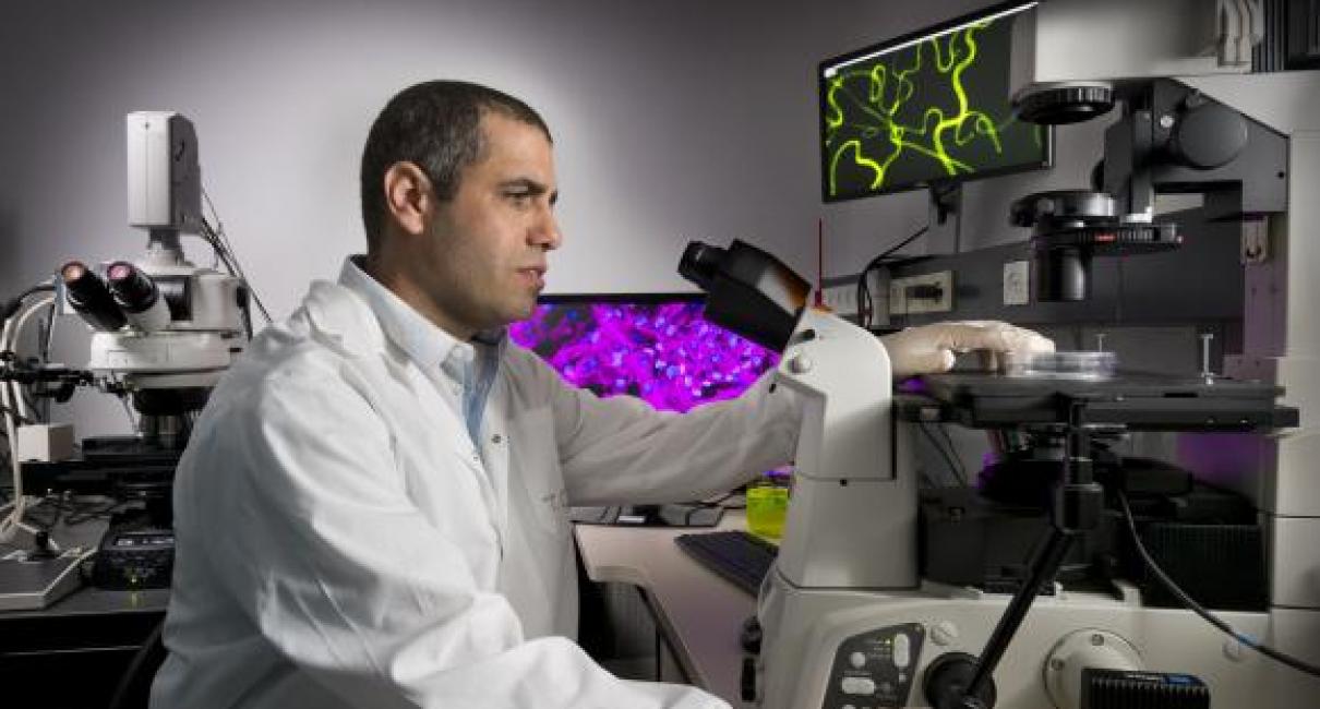 Patient's own cells used to engineer personalized tissue implants | Tel ...