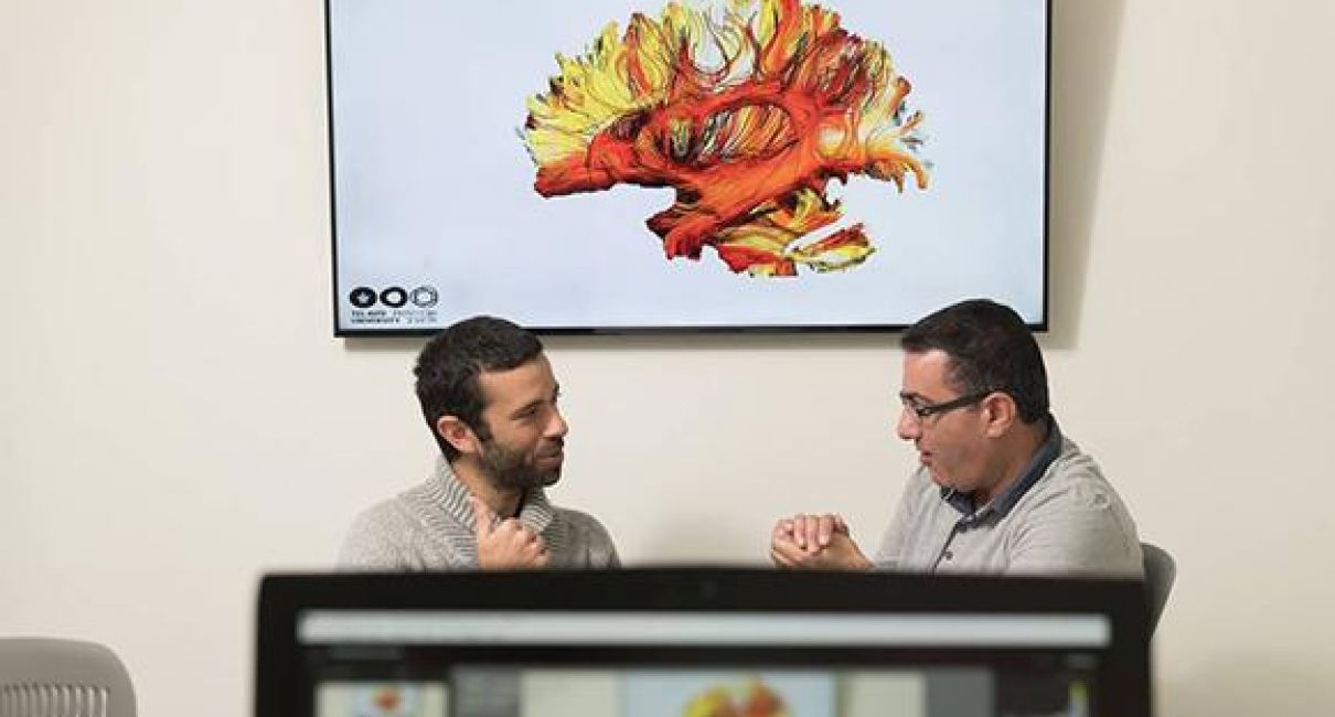 Inside a bat's brain | Tel Aviv University | Tel Aviv University