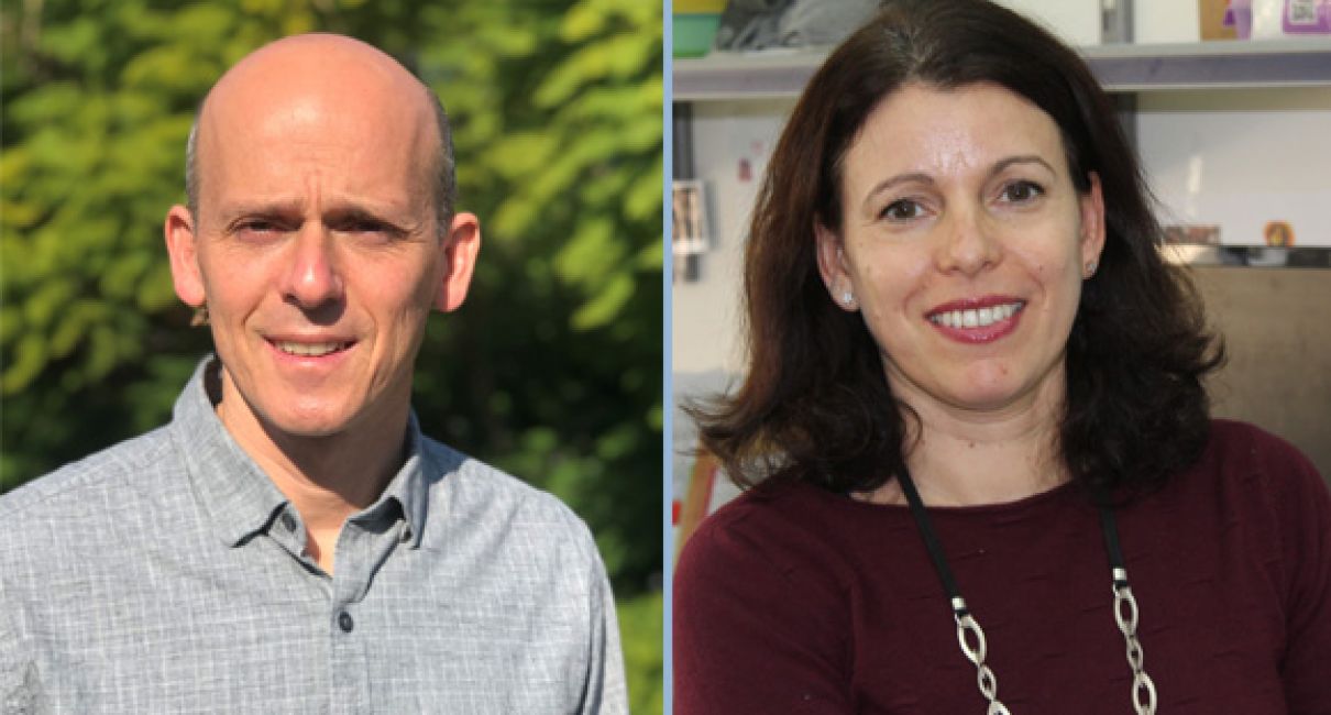 Two TAU Professors Win 2020 Nature Mentoring Award | Tel Aviv ...