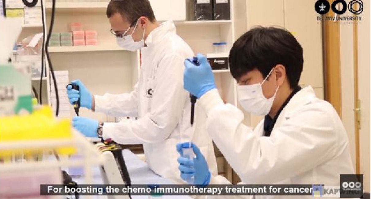TAU Nanodrug Enables 2-in-1 Attack on Cancer | Tel Aviv University ...