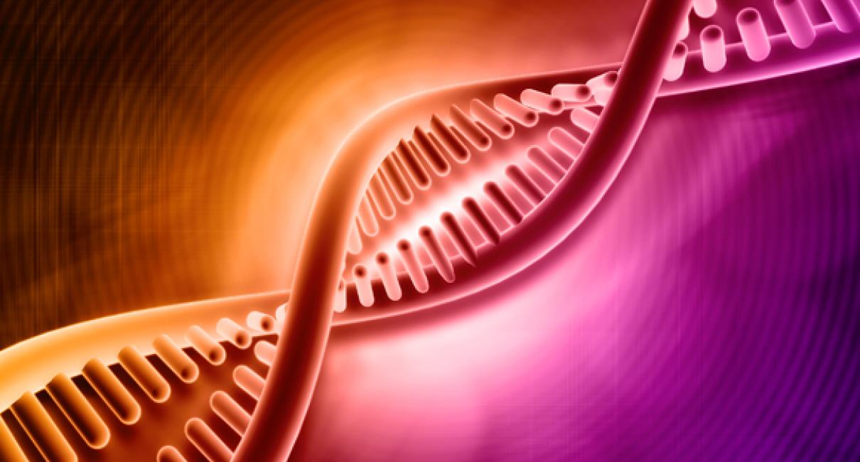 TAU programs DNA to fight antibiotic resistance in bacteria | Tel Aviv ...