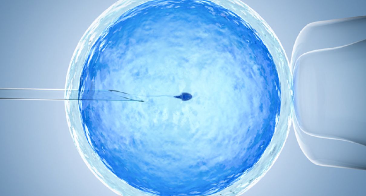 Accurate 3D imaging could significantly improve IVF treatments | Tel ...