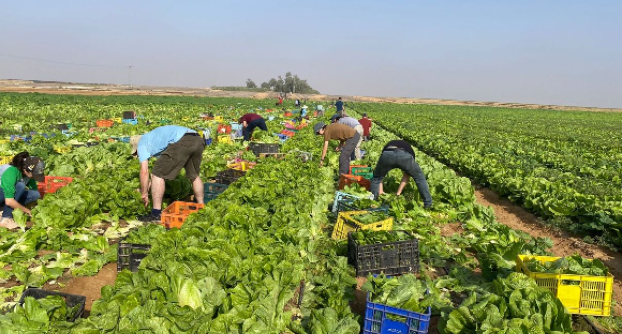 Extending a Helping Hand to Farmers in Israel’s South | Tel Aviv ...
