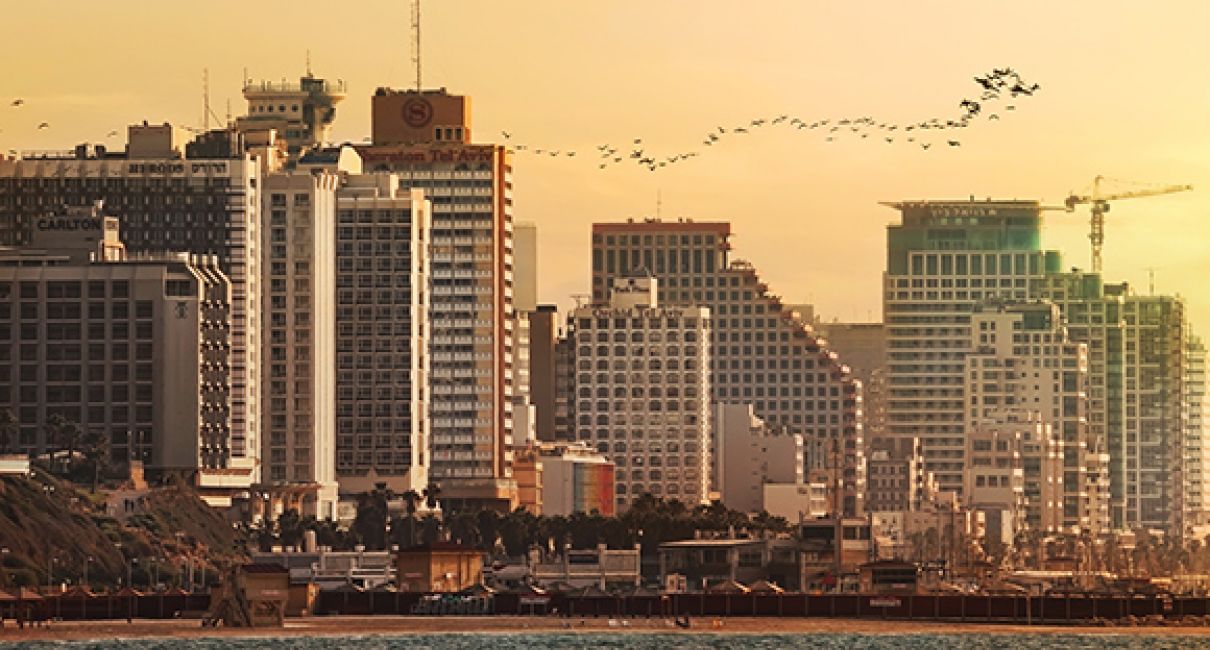 Let Them Migrate in Peace | Tel Aviv University | Tel Aviv University