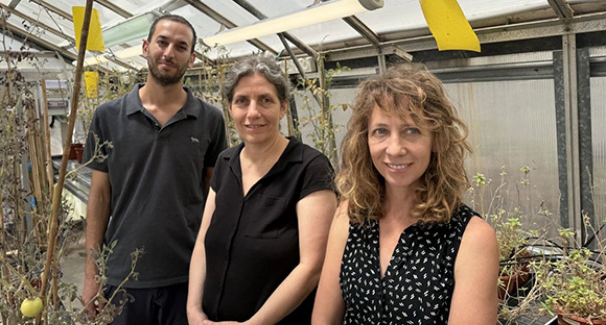 First Scientific Evidence of Auditory Interaction Between Plants and ...