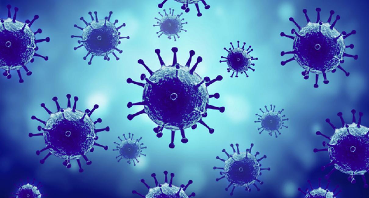 TAU study: new protein detonates "invincible" bacteria | Tel Aviv ...
