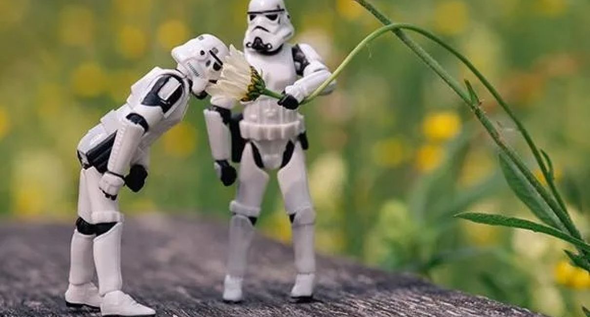 Robot, Can You Smell This? | Tel Aviv University | Tel Aviv University